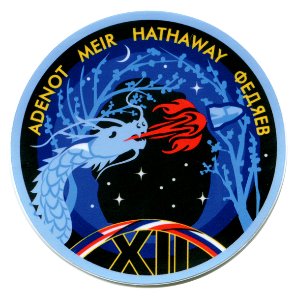 Crew-12 Decal – Space Patches